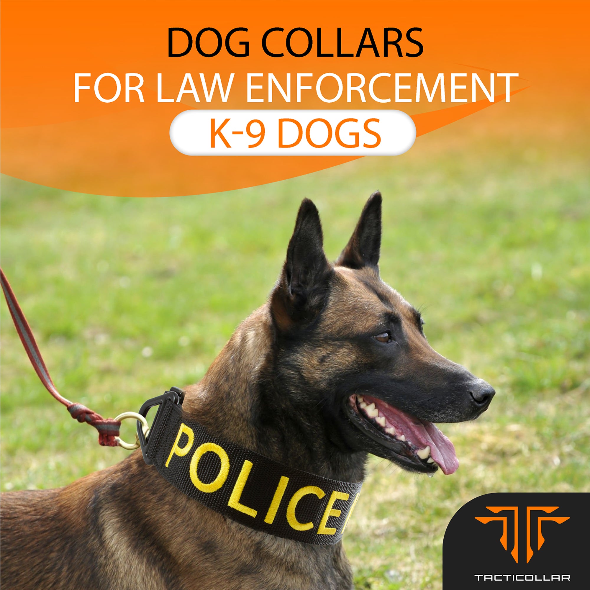 1.75 inch Police and Sheriff Dog Collars for Medium Size Dogs, Mil Spe